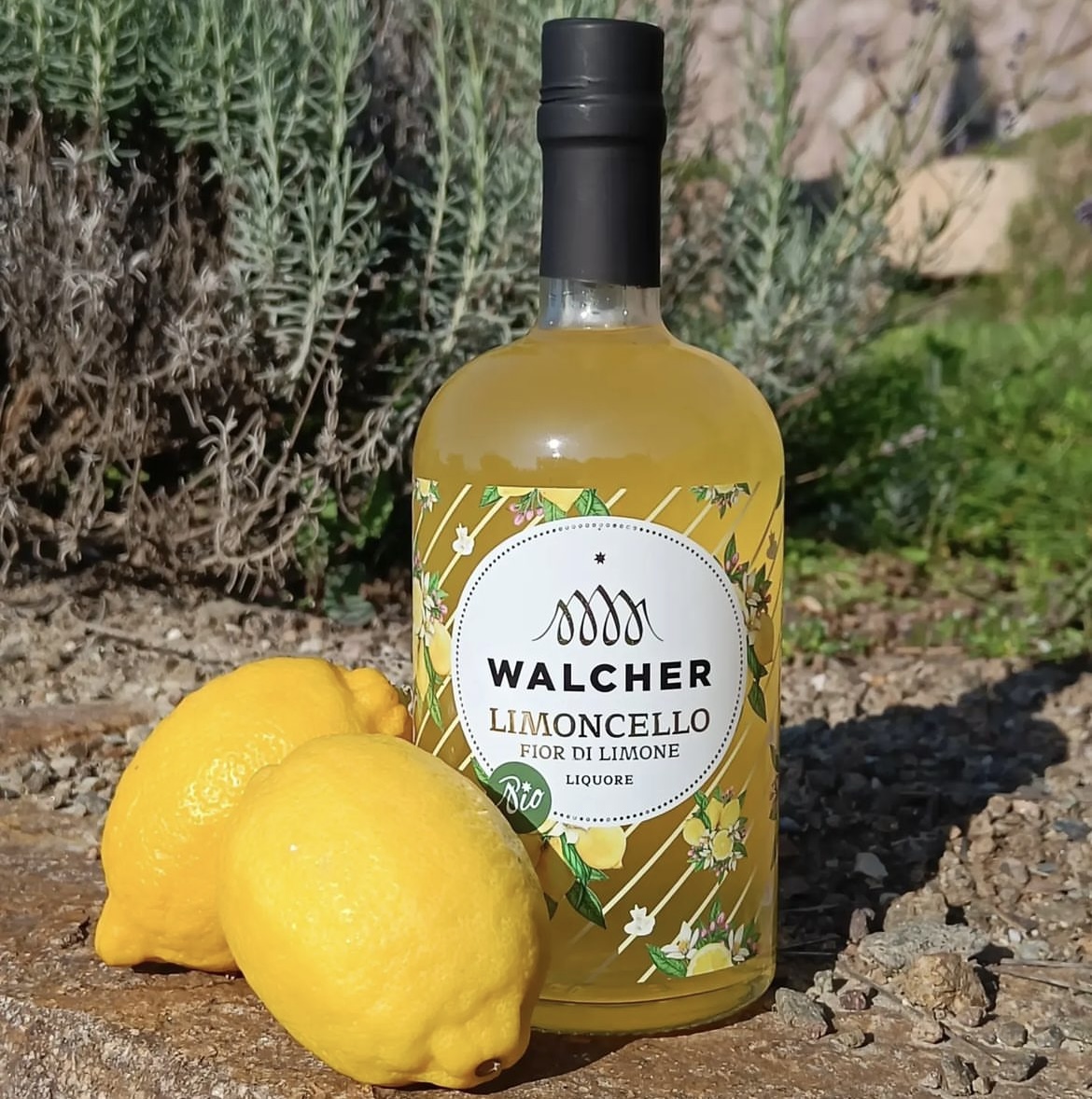 walcher | Voets Specialiteiten
